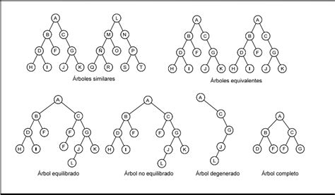 🖥️ Descubre De Qué Trata La Estructura De Datos 📋 Crehana