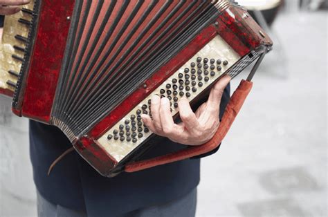 Beginner Accordion Top 5 Accordions For Beginners Reviewed