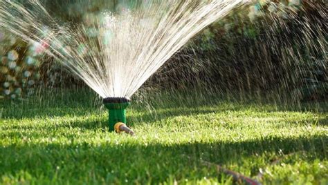 Comment Entretenir Son Gazon Homecosud