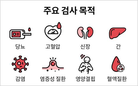 30 할인 일반 혈액 검사 Cbc 웰코치샵