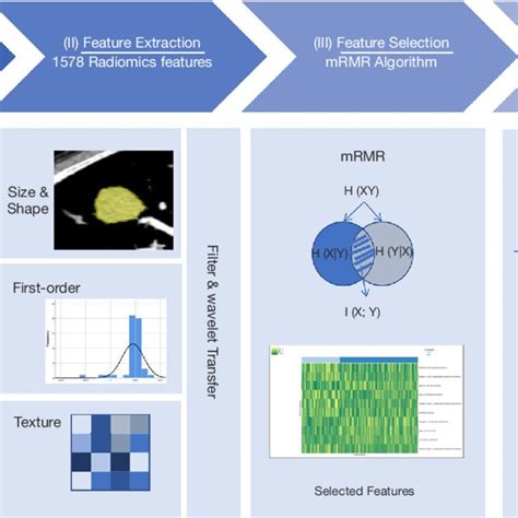 The Study Workflow Diagram I Tumor Segmentation The Tumor Was