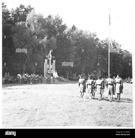 The Polish Army In The North West Europe Campaign 1944 1945 Members