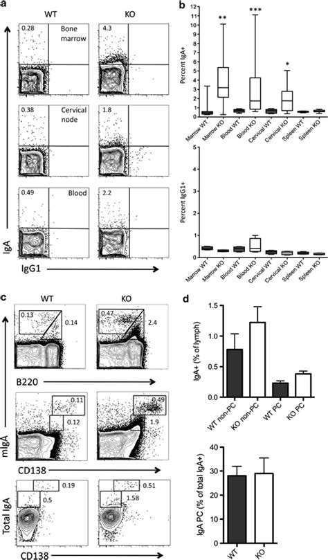 Follicular Dendritic Cell Secreted Protein FDC SP Deficient Mice Show Download Scientific