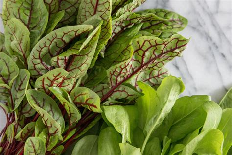 Sorrel Fruit Benefits గోంగూర కాయల వల్ల కలిగే ఆరోగ్య ప్రయోజనాల గురించి