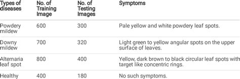 Various Cucumber Disease Descriptions Download Scientific Diagram