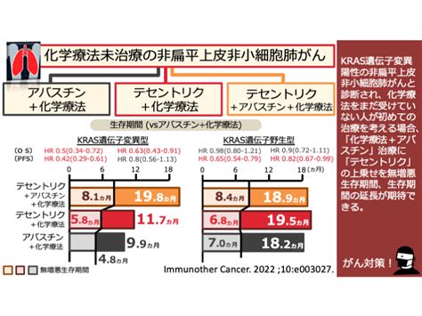 日本がん対策図鑑 【肺がん（kras陽性）：一次治療】「テセントリク＋アバスチン＋化学療法」vs「アバスチン＋化学療法」