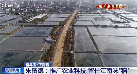【奋斗者·正青春】朱赟德：推广农业科技 留住江南味“稻”四川在线