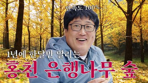 1년에 한 번 열리는 비밀의 은행나무숲 축제에 놀러오세요 Youtube