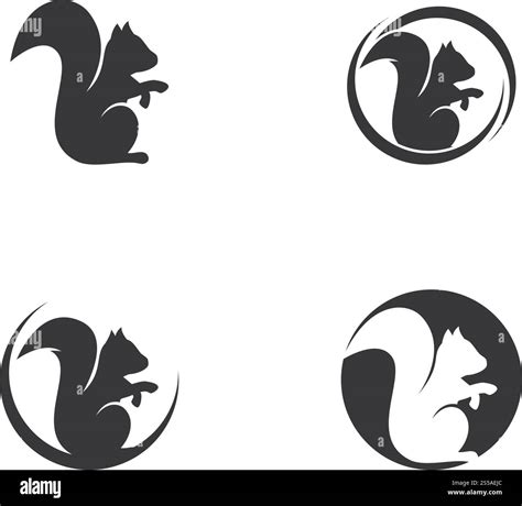 Squirrel Logo Vector Icon Stock Vector Image And Art Alamy