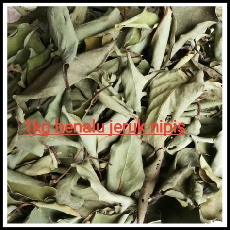 Jual Benalu Jeruk Nipis Kering Daun Dan Ranting 1 Kg Shopee Indonesia