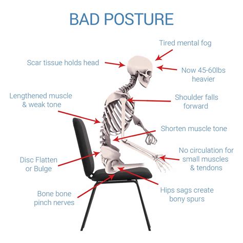 Posture Correction Cushion For Back Support Sitts