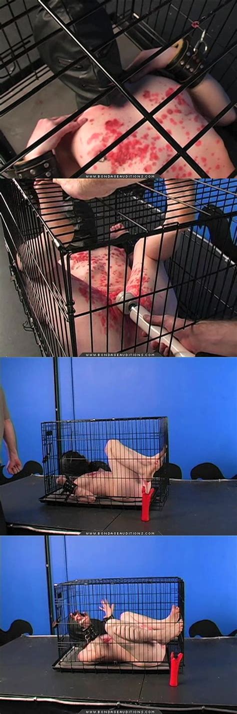 Forumophilia Porn Forum Femdom Mistress In Charge For Pleasure