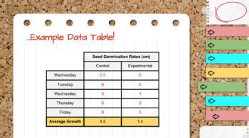 Scientific Method Seed Germination Experiment By VeroG TpT