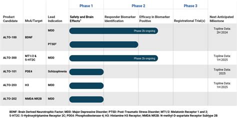 Neuroplasticidad El Cerebro Cambiante Ineurociencias