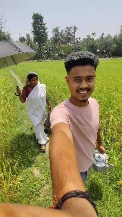 আজিৰ পৰা আমাৰ পথাৰৰ ধান কটা আৰম্ভ কৰিলে🌾 Minivlog87 Shorts Farmer