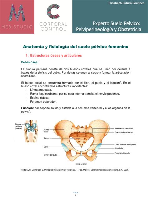 Anatomia Y Fisiologia Del Suelo Pélvico Femenino Masculino Y NiÑo