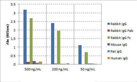 Goat Anti Rabbit Igg Fc Recombinant Secondary Antibody Biotin