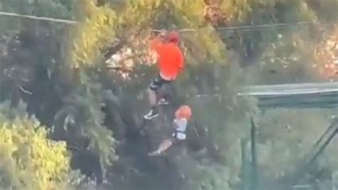 Un Nene De 6 Años Se Cayó Desde 12 Metros De Altura Luego Que Se