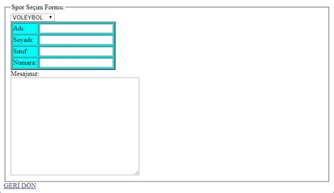 Html Form Örnekleri Web Tasarım And Programlama