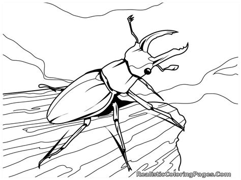 Love Bug Herbie The Movie Coloring Page Coloring Pages