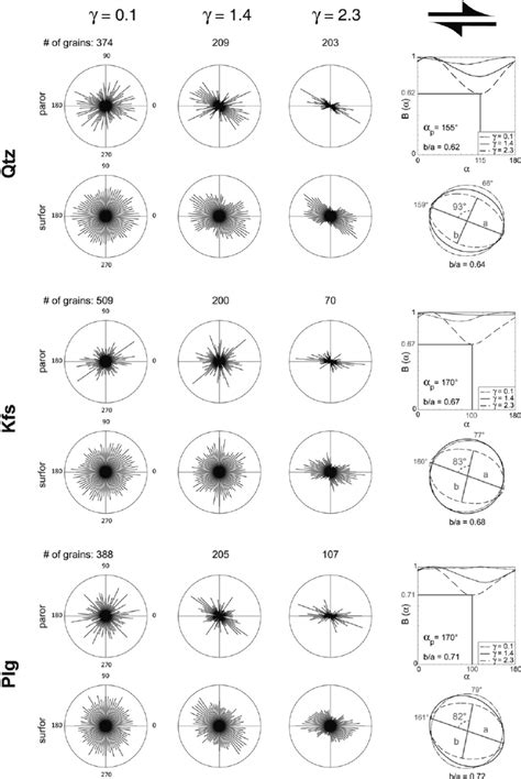 Particle And Surface Orientation Distribution Functions Odfs Of