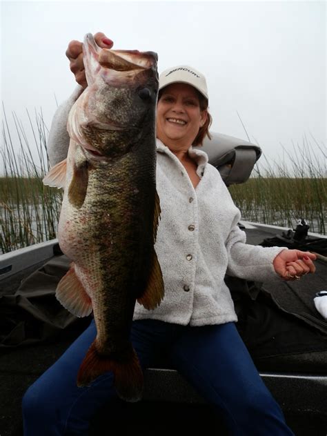 Big Okeechobee Bass Lake Okeechobee Bass Fishing Fishing Guides