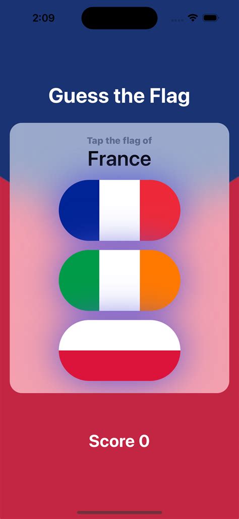 Github Cannt39tguess The Flag Swiftui