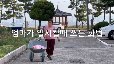 Ep 포항 친정집 여름 시골살이 촌살이 힐링 그잡채 Youtube
