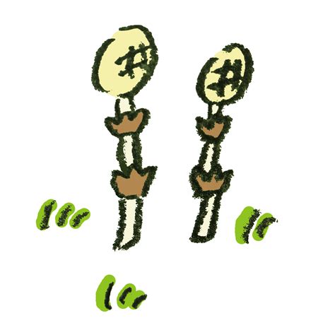つくしのイラスト ゆるくてかわいい無料イラスト素材屋ぴよたそ
