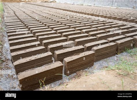 Making Bricks From Clay After The Clay Is Molded Into Bricks After That It Is Laid Out And