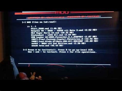 How To Load Wad Files On Wii Wadtizen