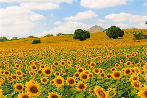 Khao Yai National Park Amazing Asia Tours