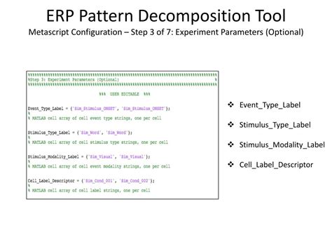 ppt nemo erp analysis toolkit erp pattern decomposition powerpoint