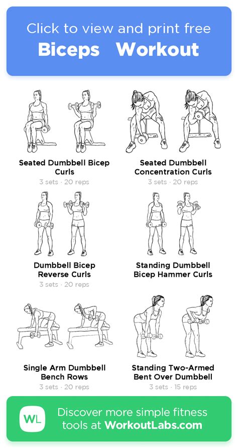 Free Workout Biceps Workout · Workoutlabs Fit Biceps Workout Back
