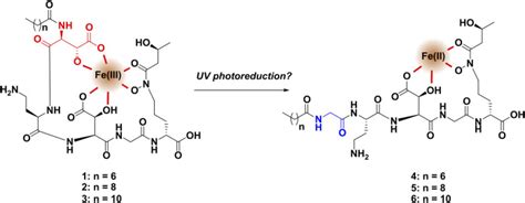 Comparative Metabolomic Profiling Of Cupriavidus Necator B 4383 Revealed Production Of