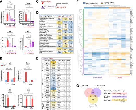 Lumateperone Normalizes Pathological Levels Of Acute Inflammation Through Important Pathways