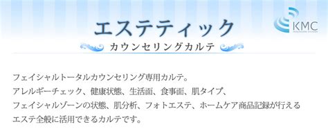 エステ用品 カルテ