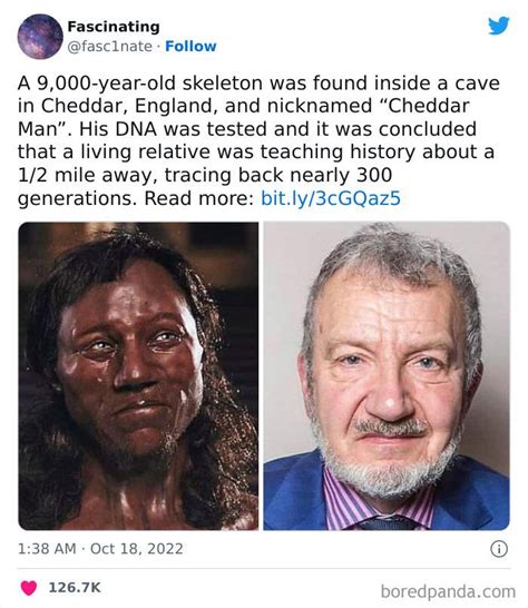 This Twitter Page Shares Interesting Facts About The World And Here Are