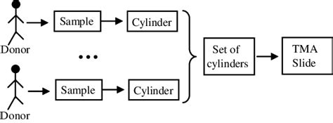 Tma Slide Preparation Download Scientific Diagram