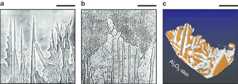Comparison Of Irregular Eutectic Growth Morphologies A Growth