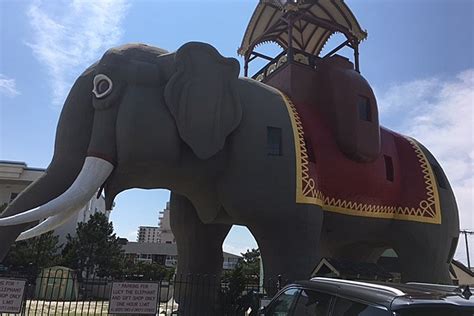 Lucy The Elephant Leaving Margate Heres Whats Behind The Rumor