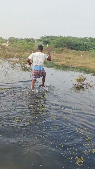 🌀🌀ரப்பர்🐸தவளைவாயன்frag Fish🦈hunting🥵 Shorts Timeilatvm Love