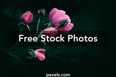 Asthetic Dark Wallpaper For Windos Photos Download The Best Free