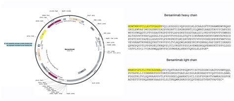 Bersanlimab Biosimilar Antibody Bicell Scientific®