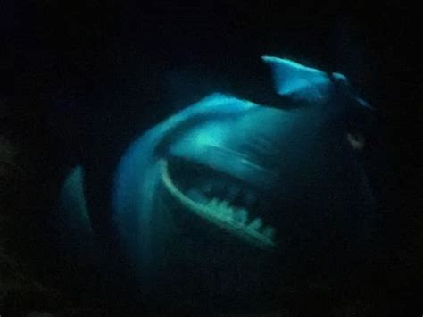Bruce The Shark Finding Nemo Submarine Voyage Disneyland Finding Nemo