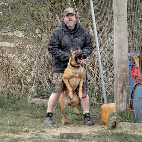 Some Amazing Photos For Dandp 2025 Survival From Danielle Greenhill Bull… Ewan Ron Cameron