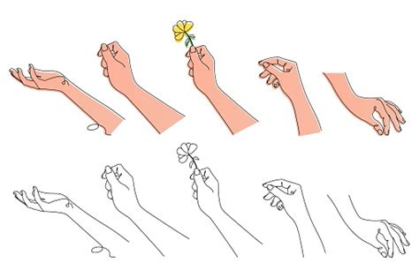 Set Of Female Hands Hand Holding A Flower Line Art Vector Illustration