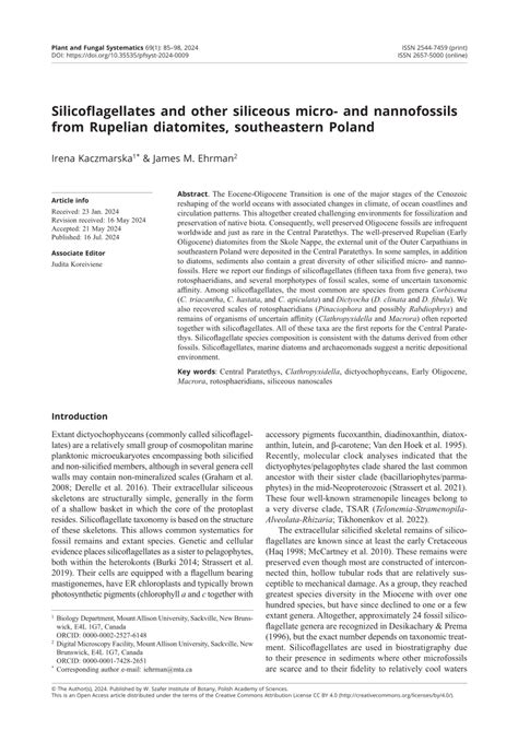 Pdf Silicoflagellates And Other Siliceous Micro And Nannofossils