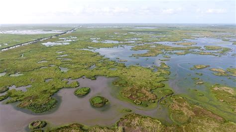 Bethany Patten On Linkedin Great Work From Mit Sloan School Of Management And Mit Sloan…