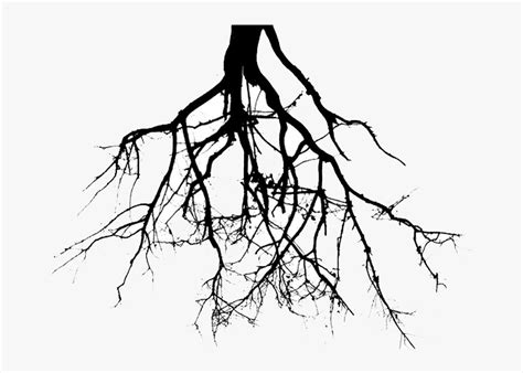 Tree Roots Tattoo Design